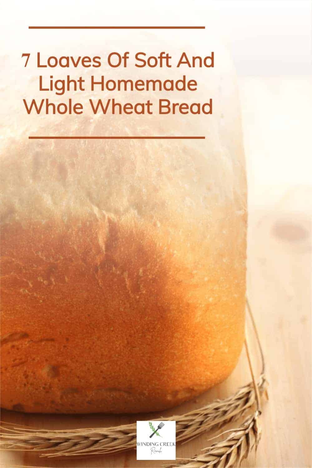 Homemade Soft Whole Wheat Bread Recipe - Winding Creek Ranch