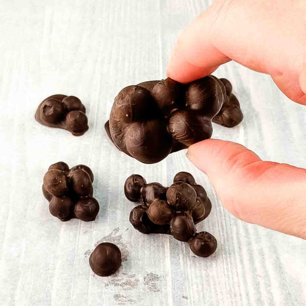 Dark Chocolate Covered Blueberries (3 Ingredients)