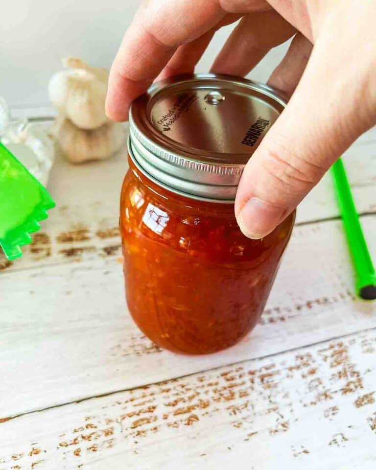 Easy Canned Salsa Recipe with Fresh Tomatoes