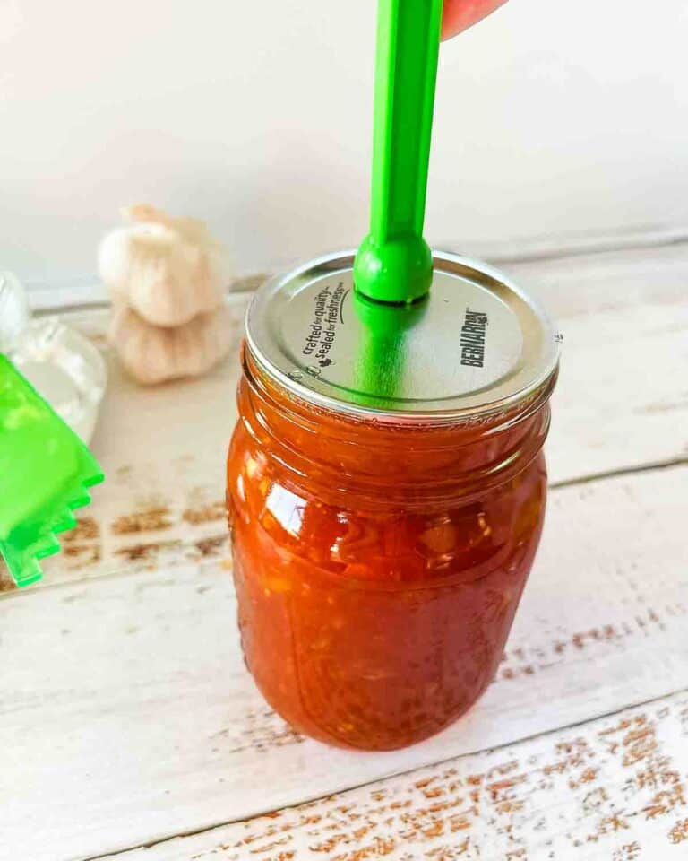 Easy Canned Salsa Recipe with Fresh Tomatoes