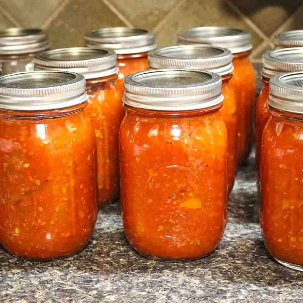 Homemade Salsa For Canning Recipe (Fresh Tomatoes)