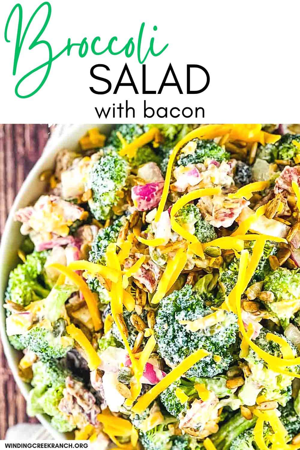 Best Broccoli Crunch Salad Recipe (Sweet, Tangy + Easy!) - Winding ...