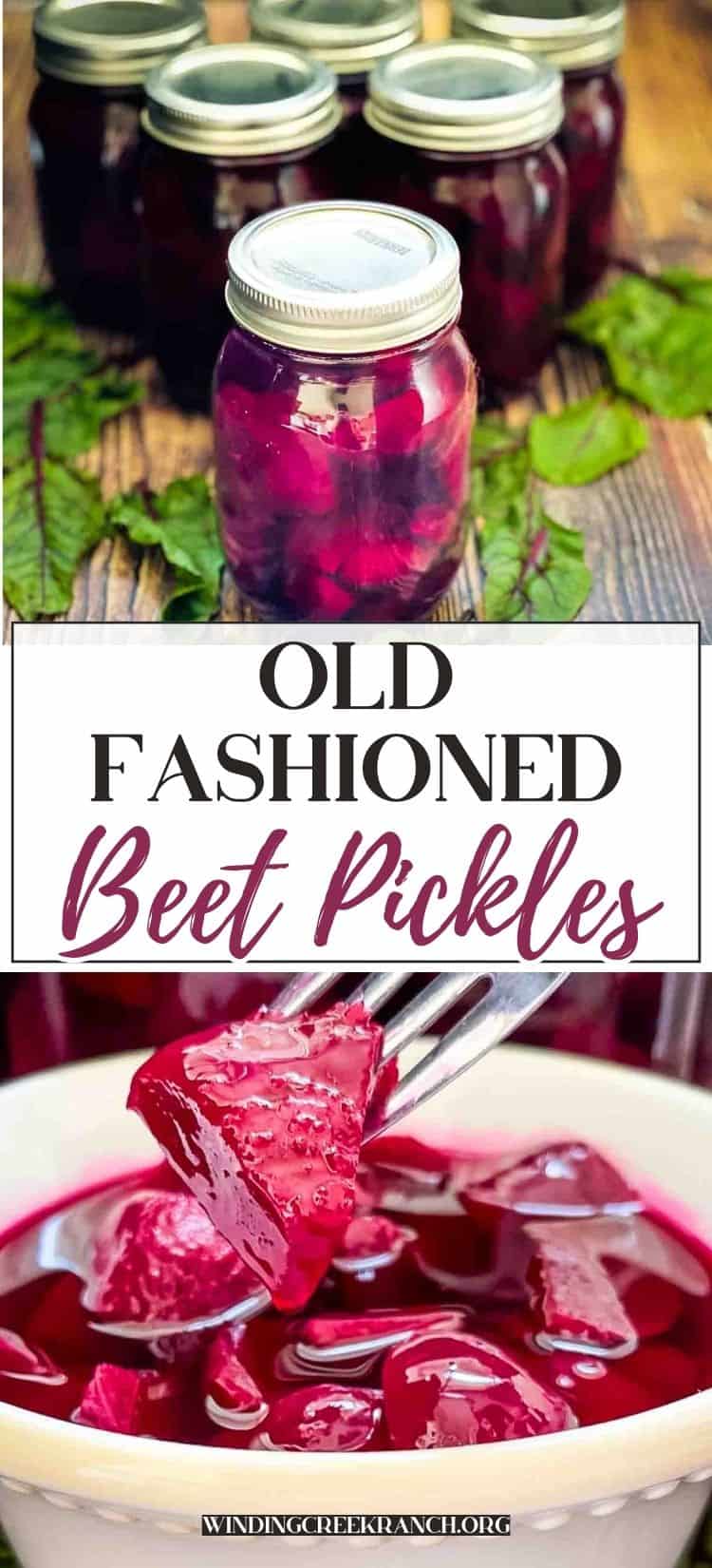 Easy Old Fashioned Pickled Beets Recipe