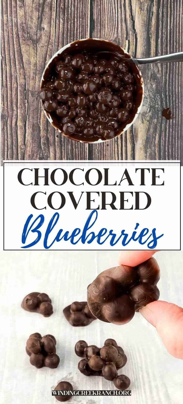 Easy Chocolate Covered Blueberries (3 Ingredients)