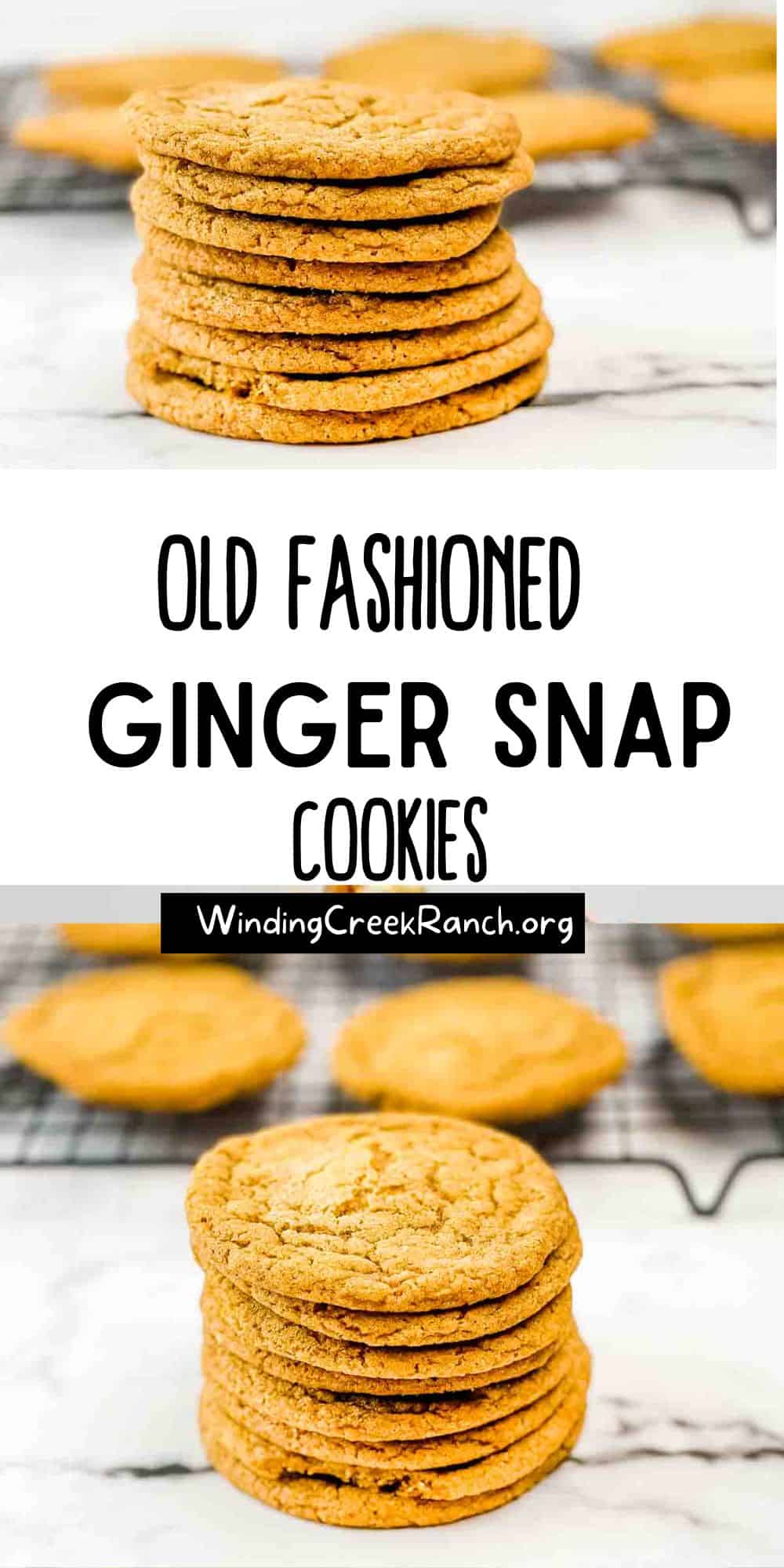 Old Fashioned Ginger Snap Cookies - Winding Creek Ranch