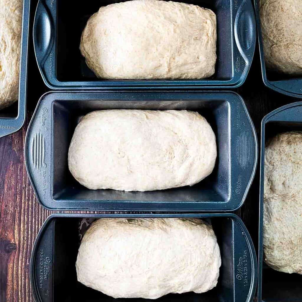 Homemade Soft Whole Wheat Bread Recipe - Winding Creek Ranch