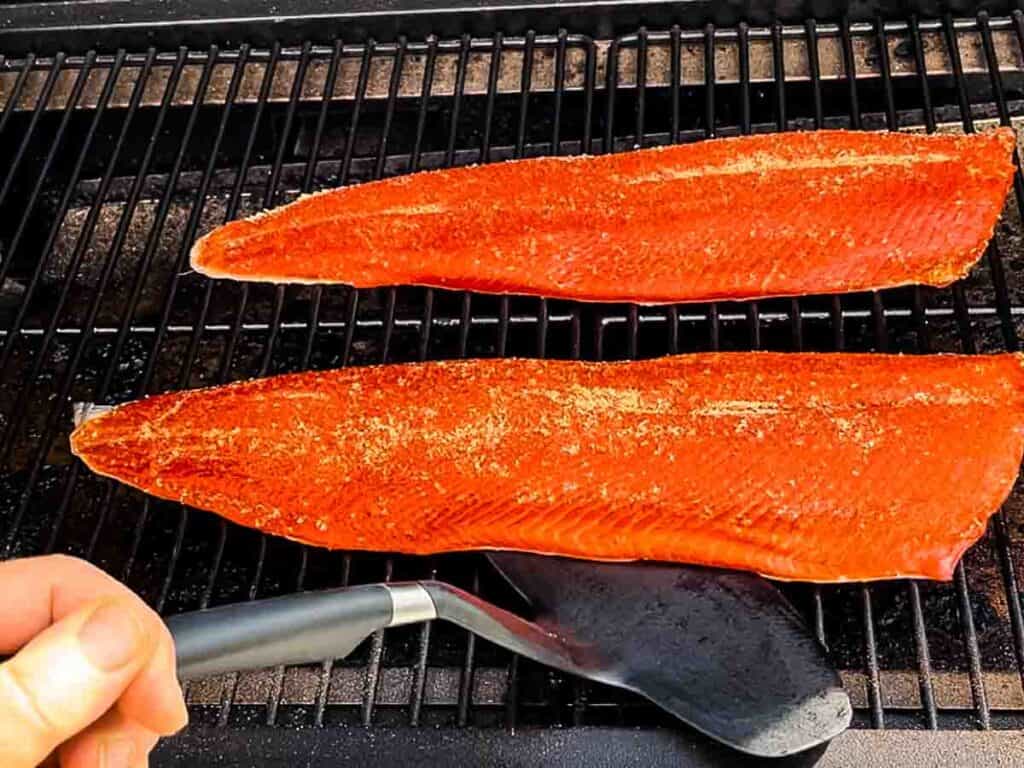 Best Traeger Smoked Salmon Recipe (Dry Brine)