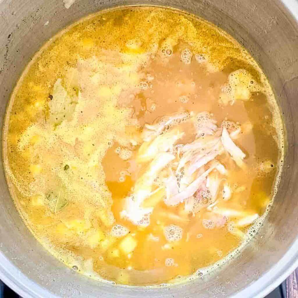 Smoked Chicken Noodle Soup Recipe - Winding Creek Ranch