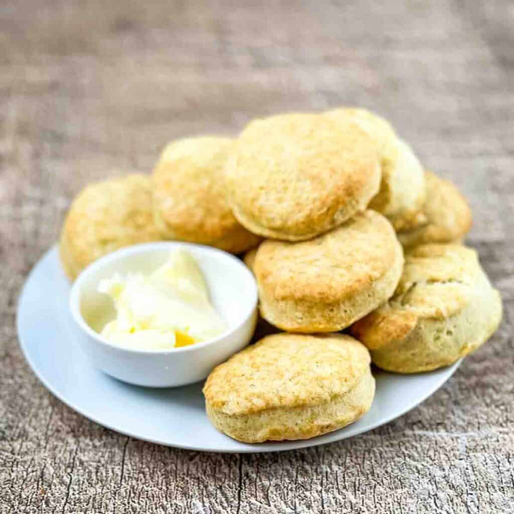 Quick Homemade Biscuits With No Milk - Winding Creek Ranch