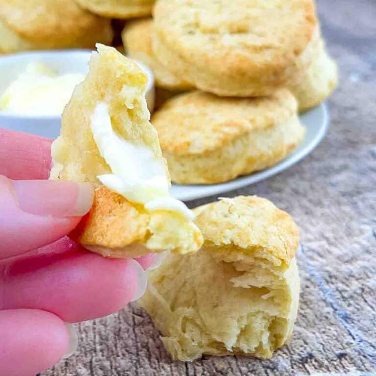 Quick Homemade Biscuits With No Milk - Winding Creek Ranch