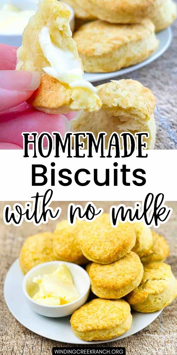 Quick Homemade Biscuits With No Milk - Winding Creek Ranch