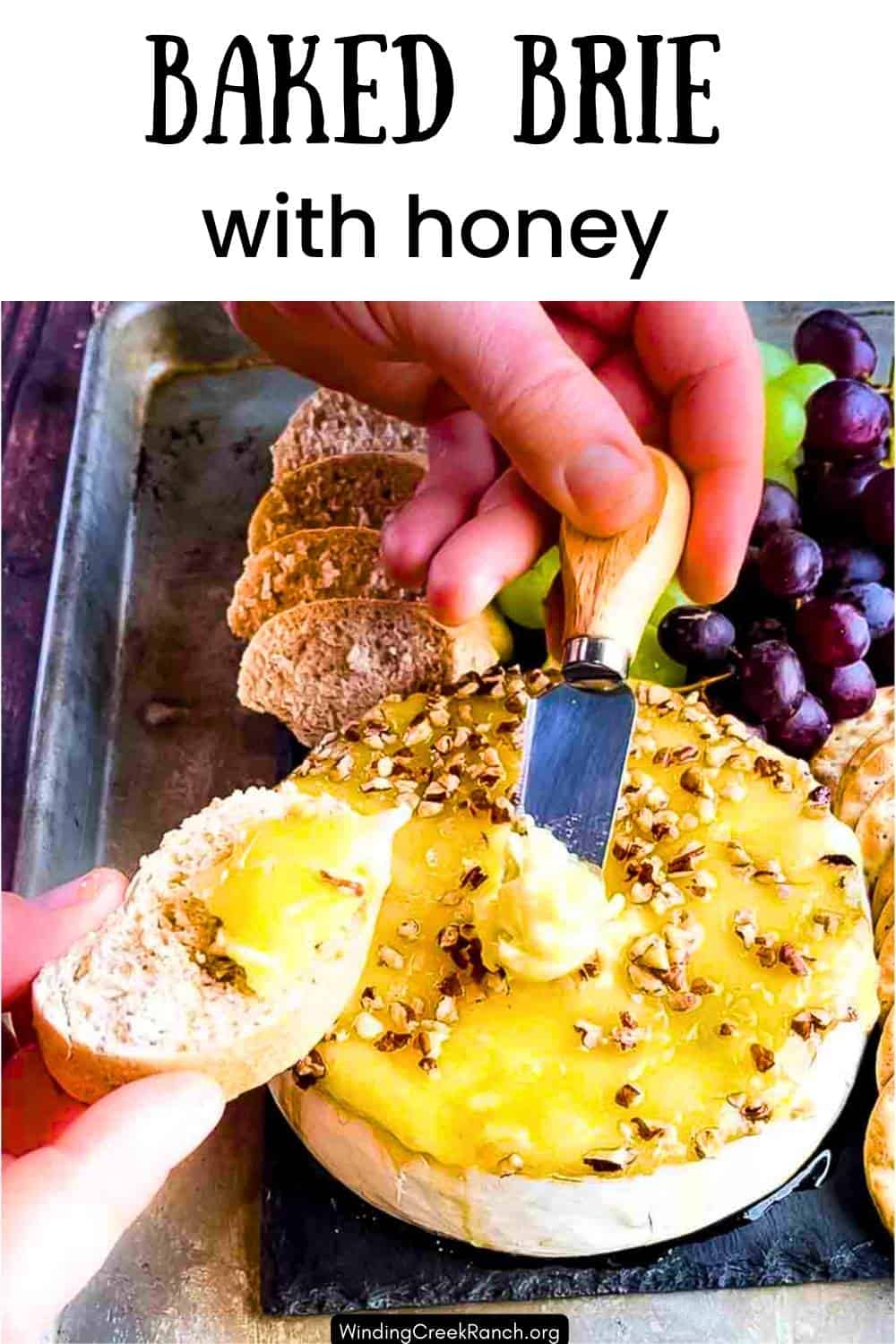 Baked Brie Cheese With Honey - Winding Creek Ranch