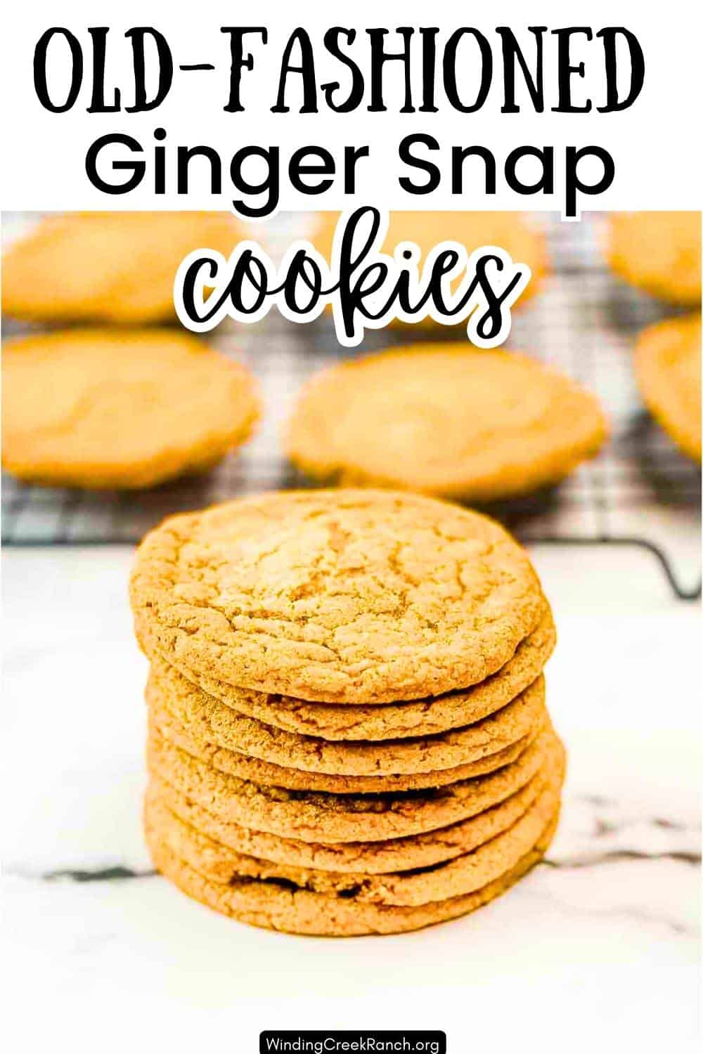 Old Fashioned Ginger Snap Cookies - Winding Creek Ranch