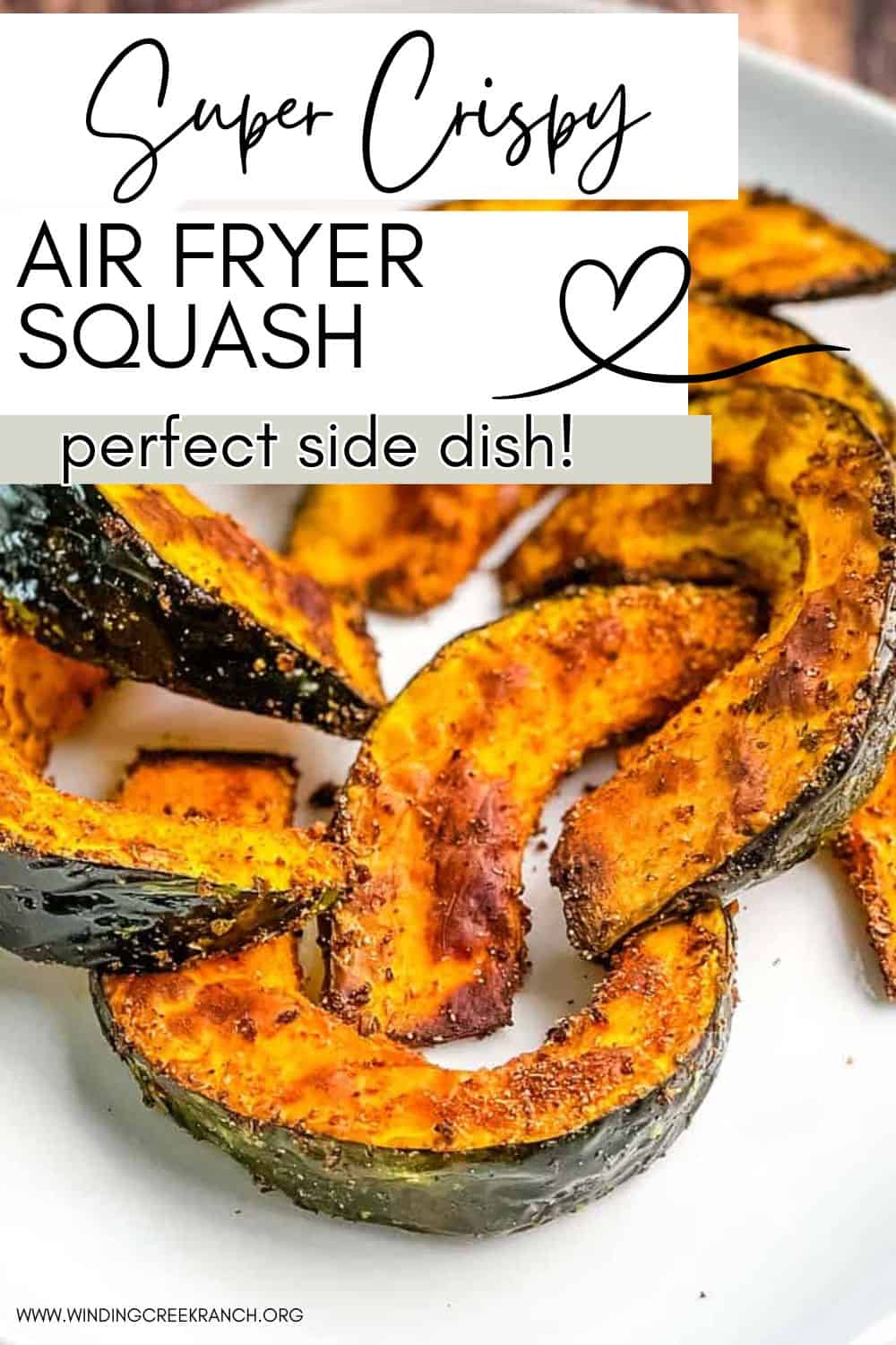 Crispy Air Fryer Squash - Winding Creek Ranch