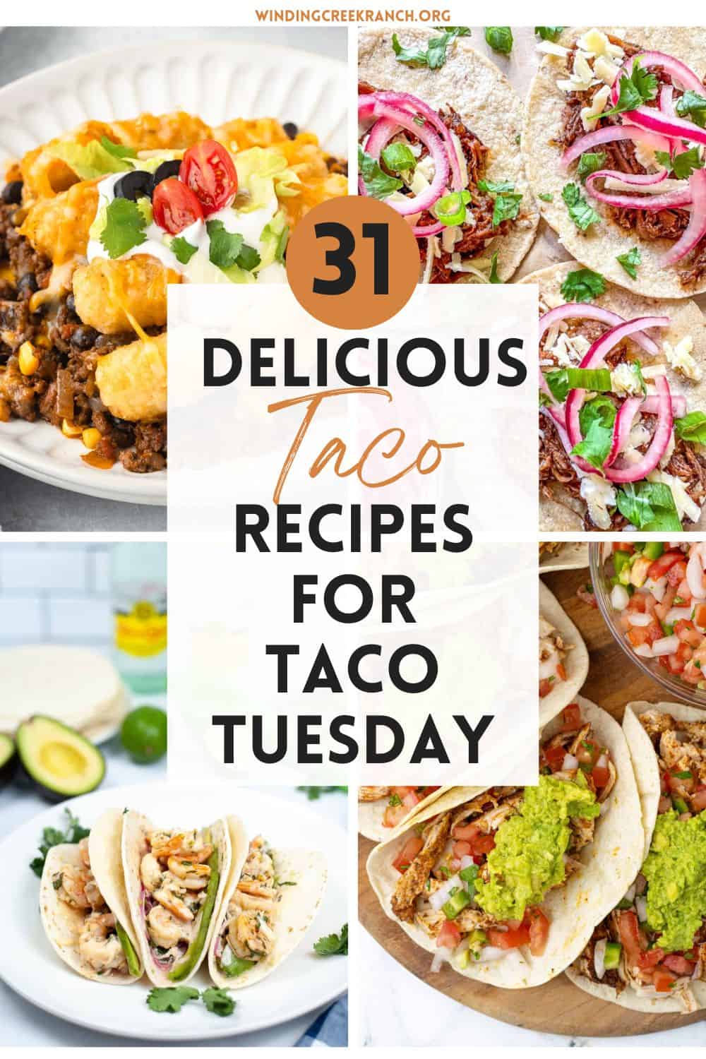 31 Delicious Taco Recipes to Spice Up Taco Tuesday - Winding Creek Ranch