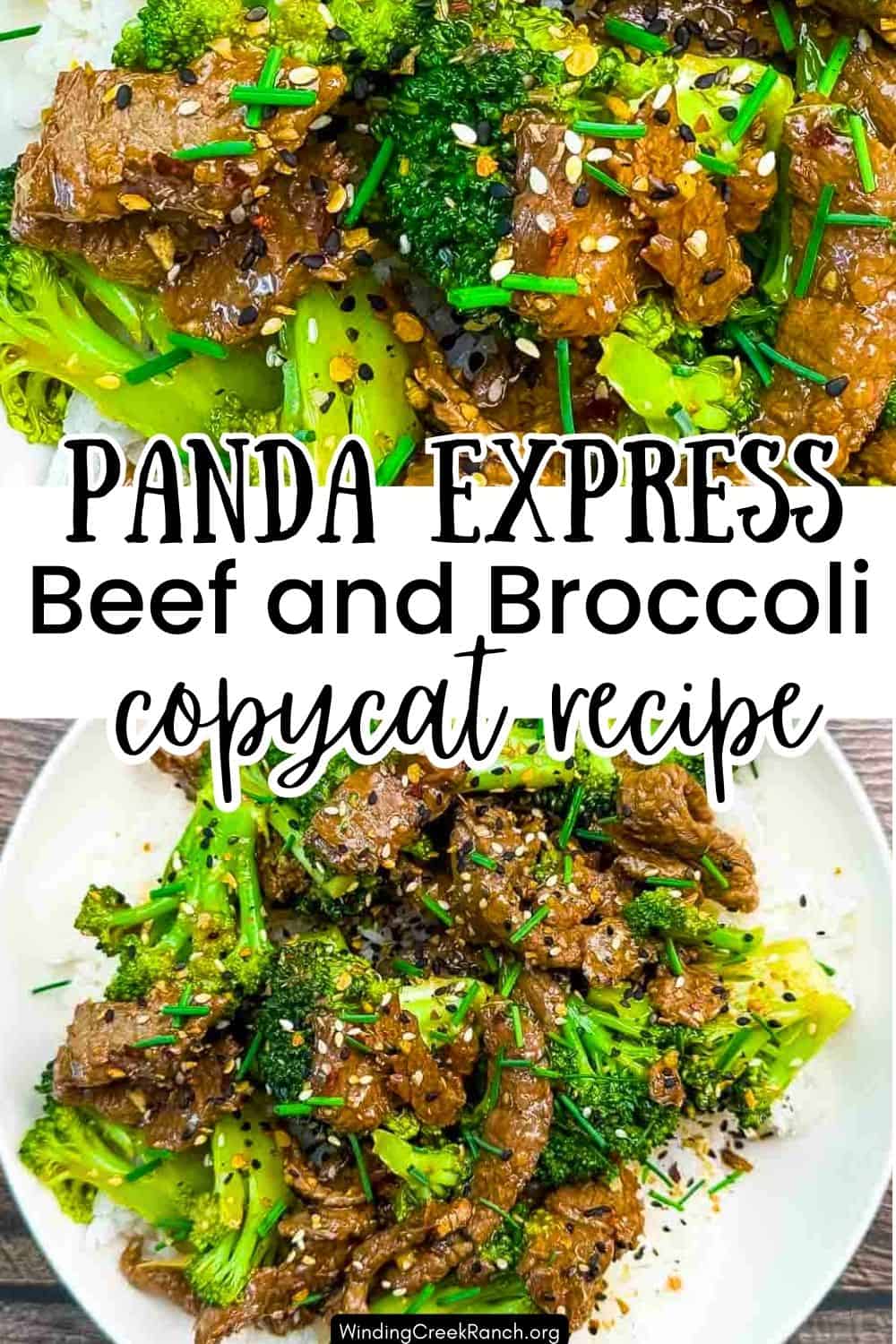 Panda Express Beef and Broccoli (Copycat Recipe) - Winding Creek Ranch