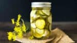 Crispy Refrigerator Sweet Dill Pickles - Winding Creek Ranch