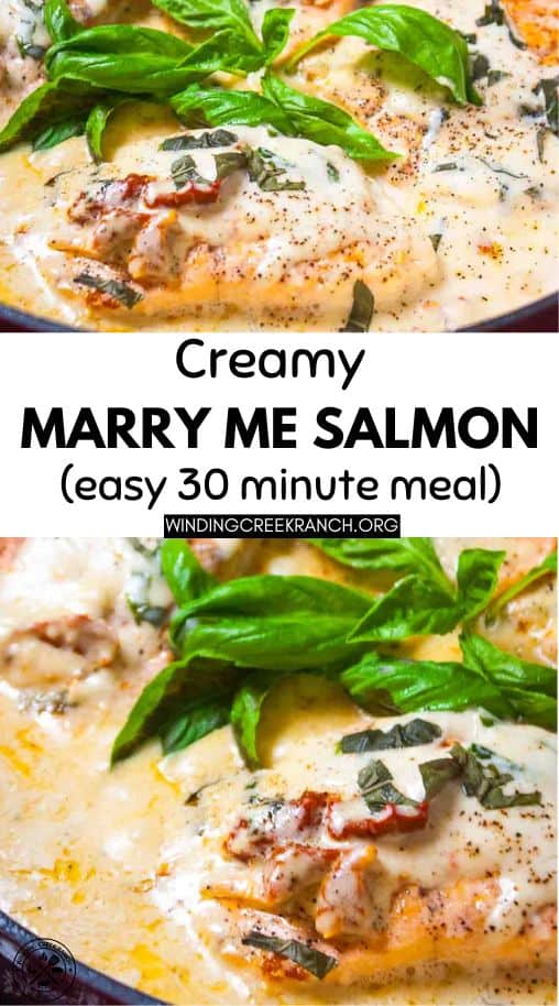 Creamy Marry Me Salmon Recipe - Winding Creek Ranch