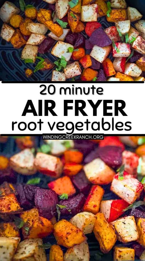 Air Fryer Roasted Root Vegetables Winding Creek Ranch