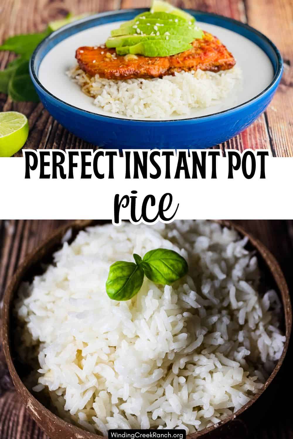Easy No-Fail Instant Pot Rice - Winding Creek Ranch