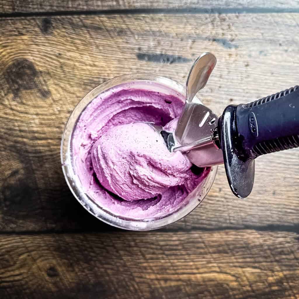 The Easiest Ninja Creami Blueberry Ice Cream - Winding Creek Ranch
