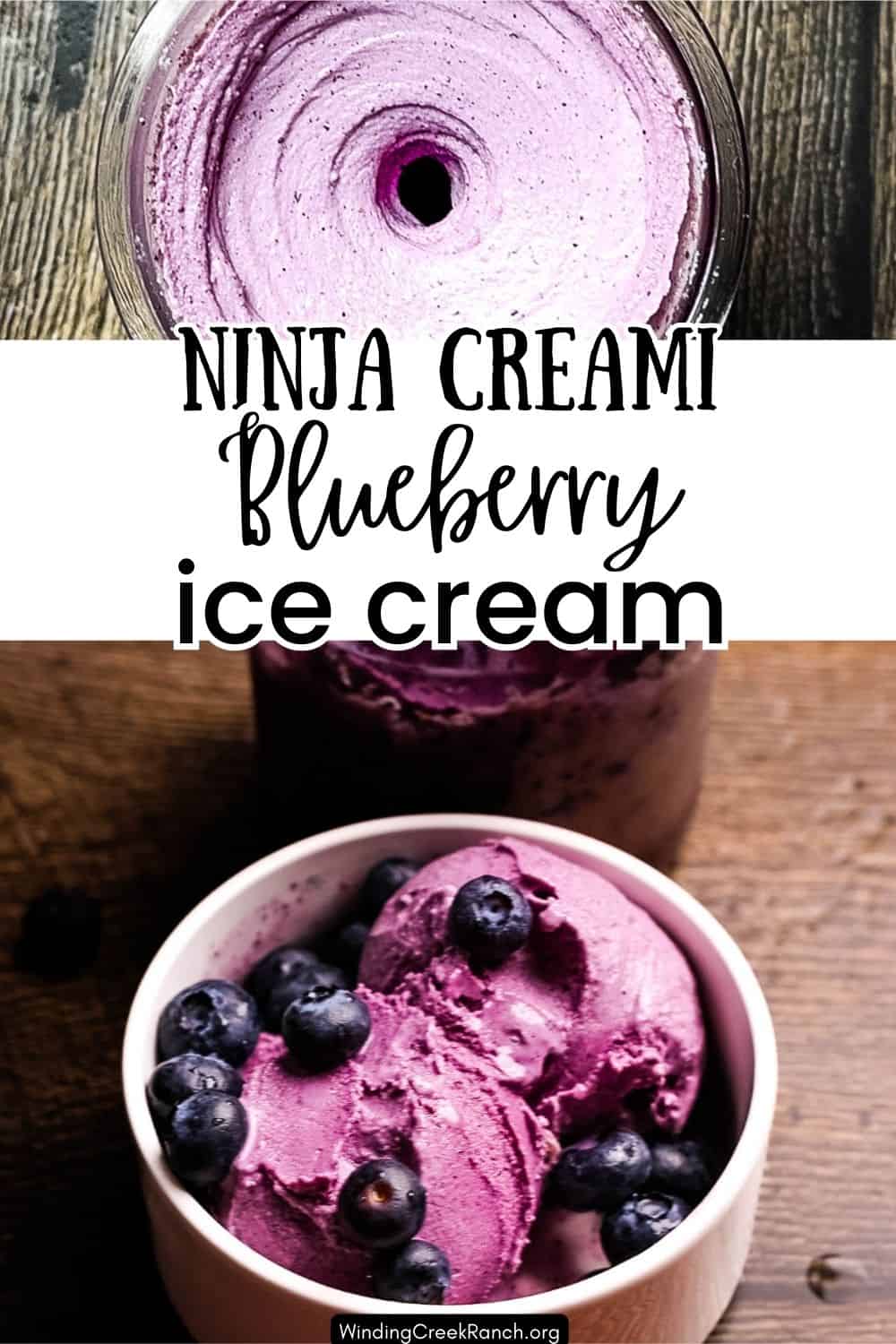 The Easiest Ninja Creami Blueberry Ice Cream - Winding Creek Ranch