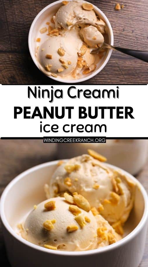 Ninja Creami Peanut Butter Ice Cream - Winding Creek Ranch