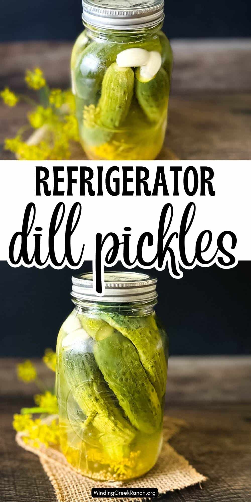 Easy Refrigerator Dill Pickles Recipe - Winding Creek Ranch
