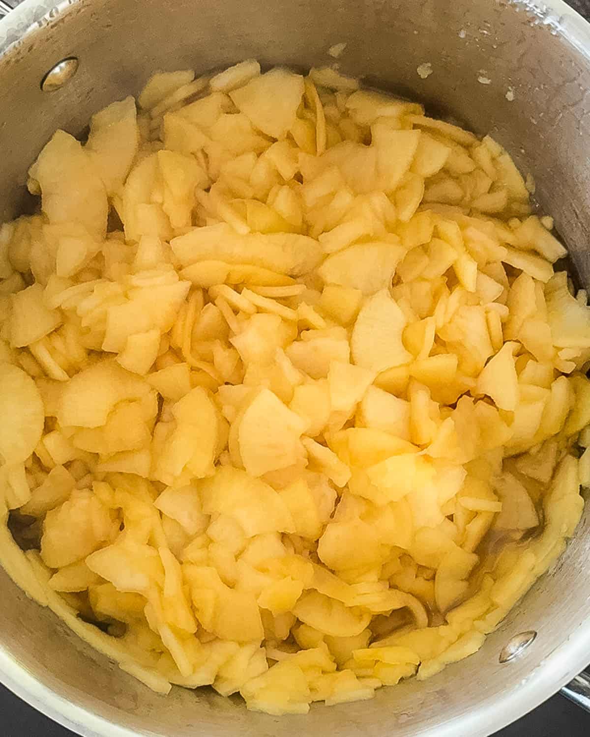 Easy Canned Applesauce Recipe (Beginner Friendly) - Winding Creek Ranch