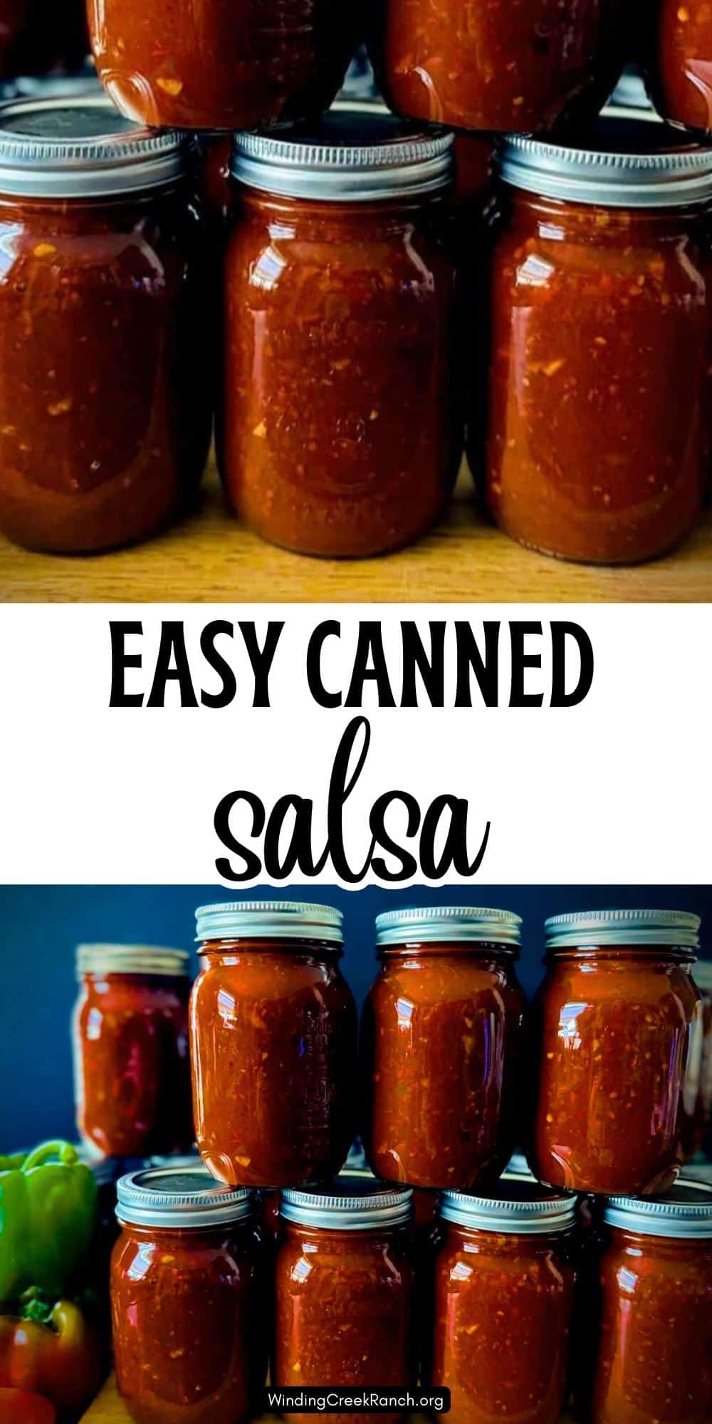 Easy Canned Salsa Recipe with Fresh Tomatoes