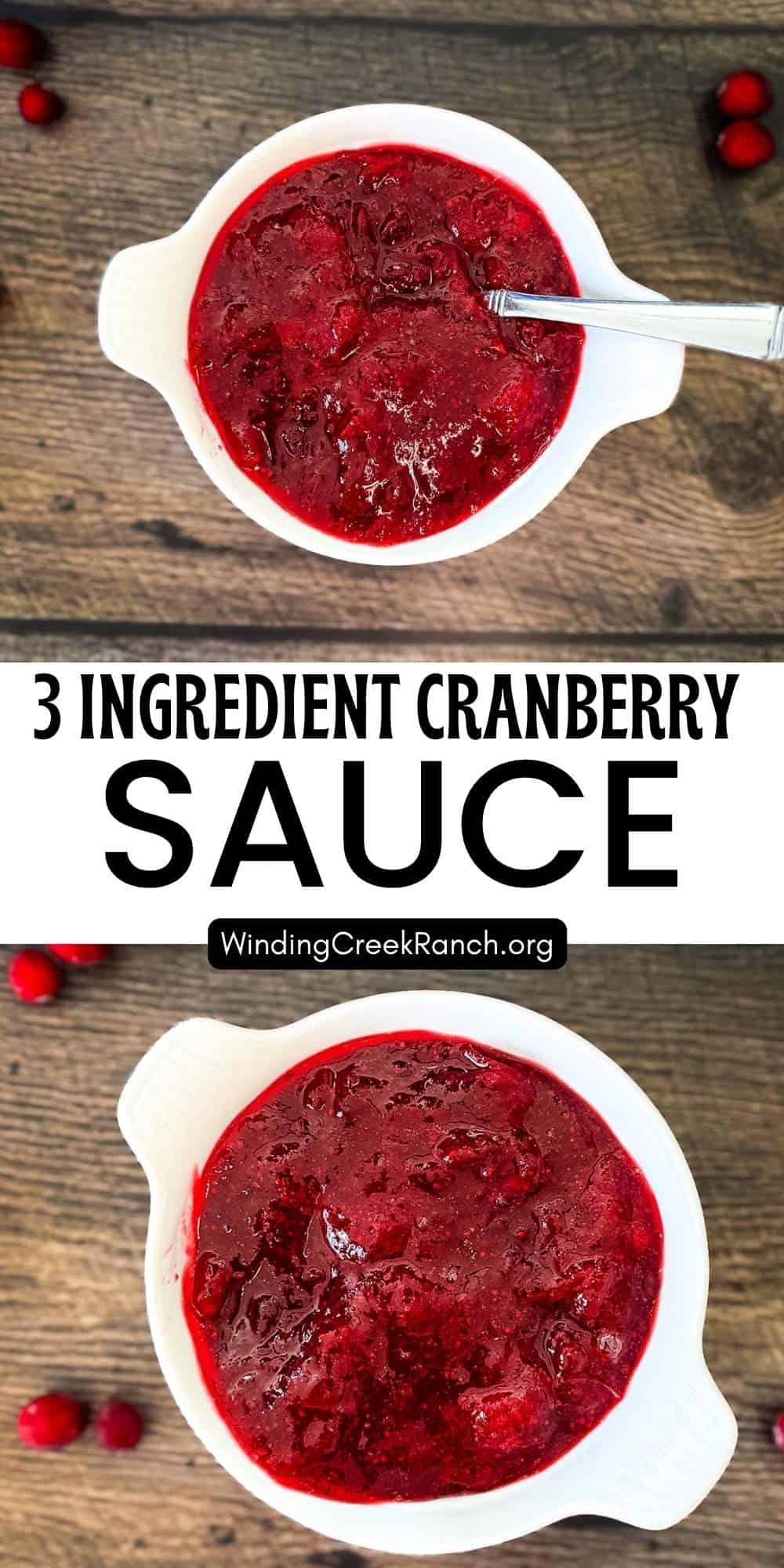 Homemade Cranberry Sauce (3 Ingredients) - Winding Creek Ranch